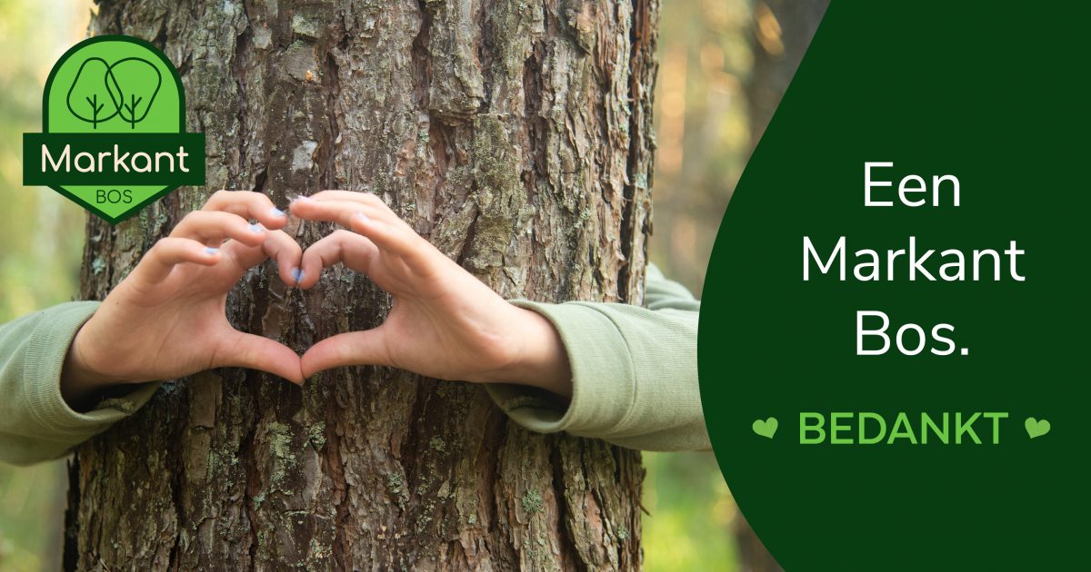 Markant | Markant vzw plant 1.200 bomen. Een Markant Bos voor een…